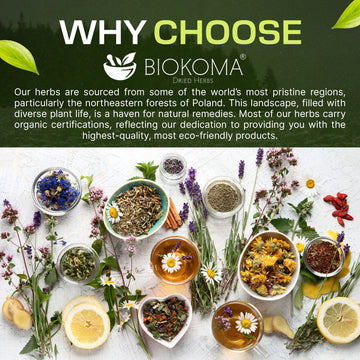 Lovage Leaves Herbal Tea Detox, Digestion & Urinary Support – BIOKOMA ...